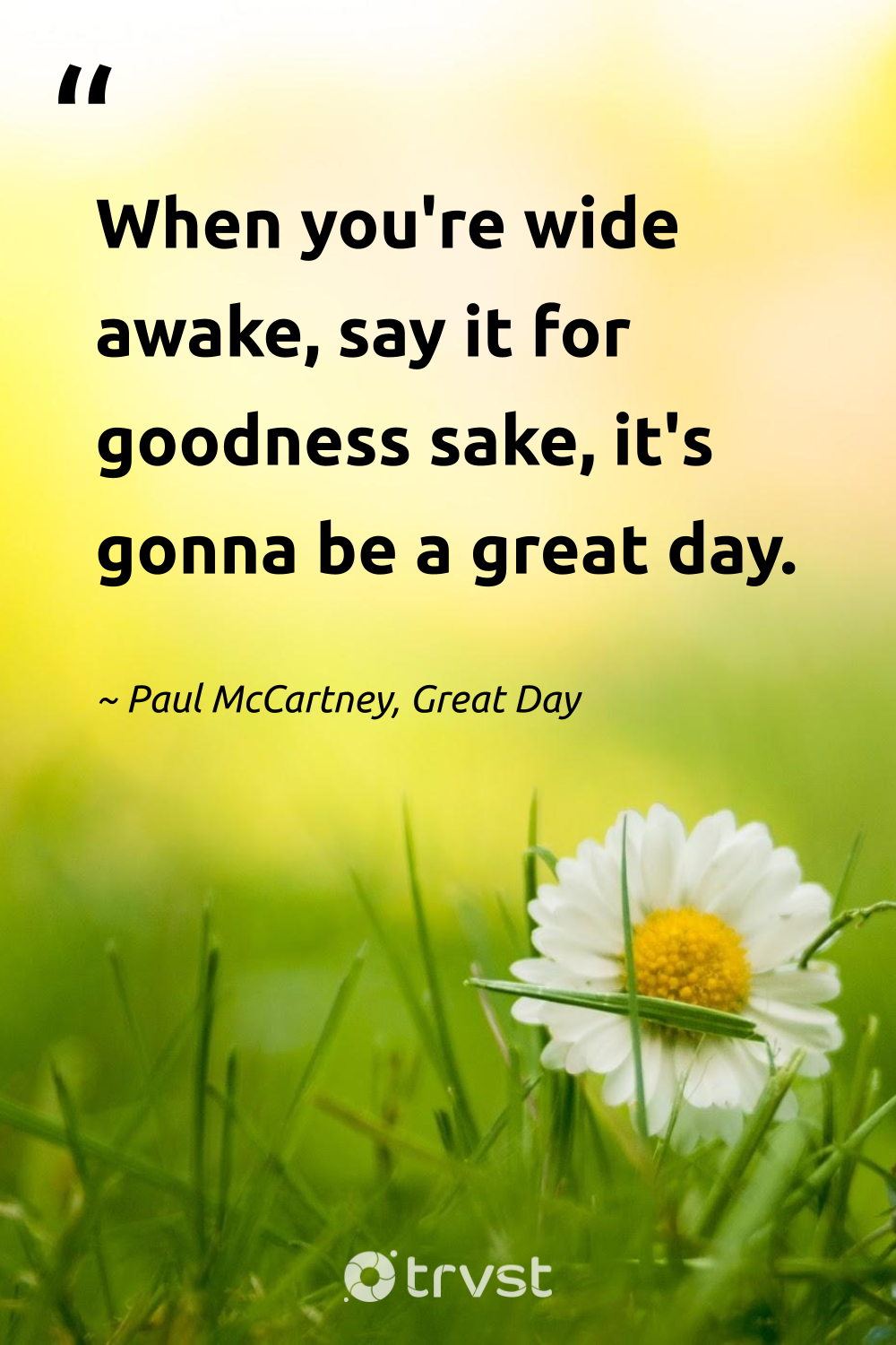 45 Beautiful Day Quotes for Everyday Inspiration (2025)