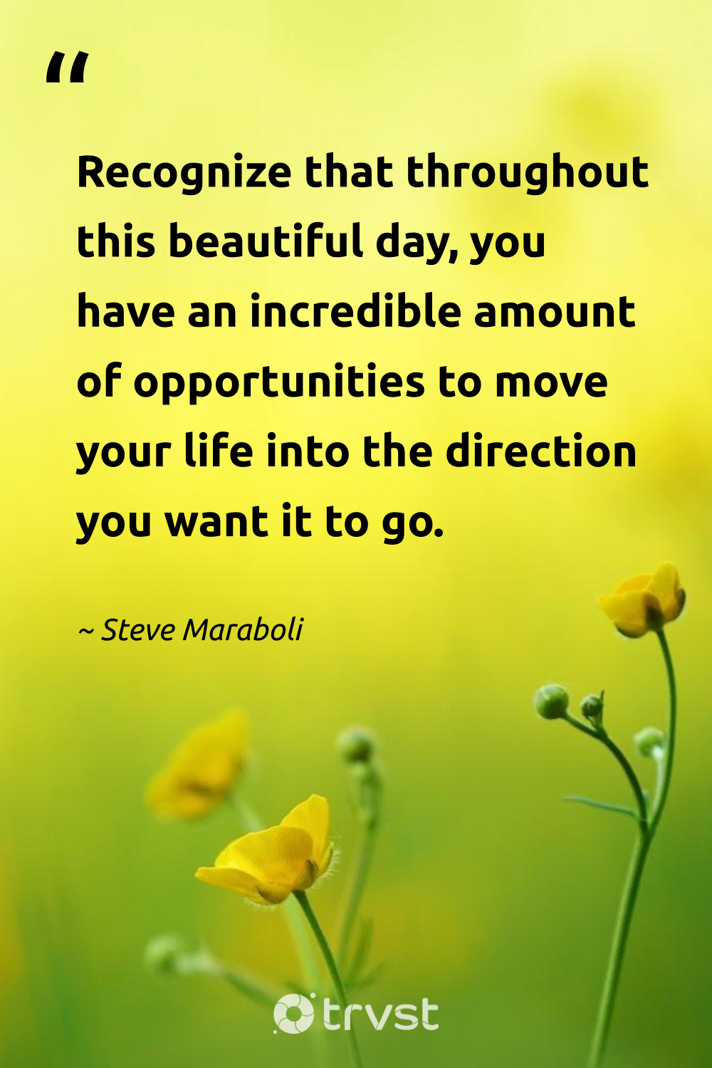 45 Beautiful Day Quotes for Everyday Inspiration (2025)