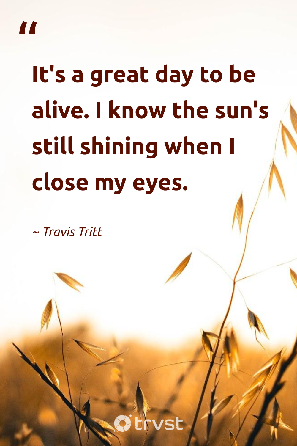 45 Beautiful Day Quotes for Everyday Inspiration (2025)