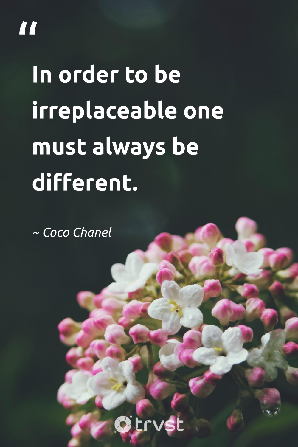 35 Being Different Quotes Embracing Uniqueness
