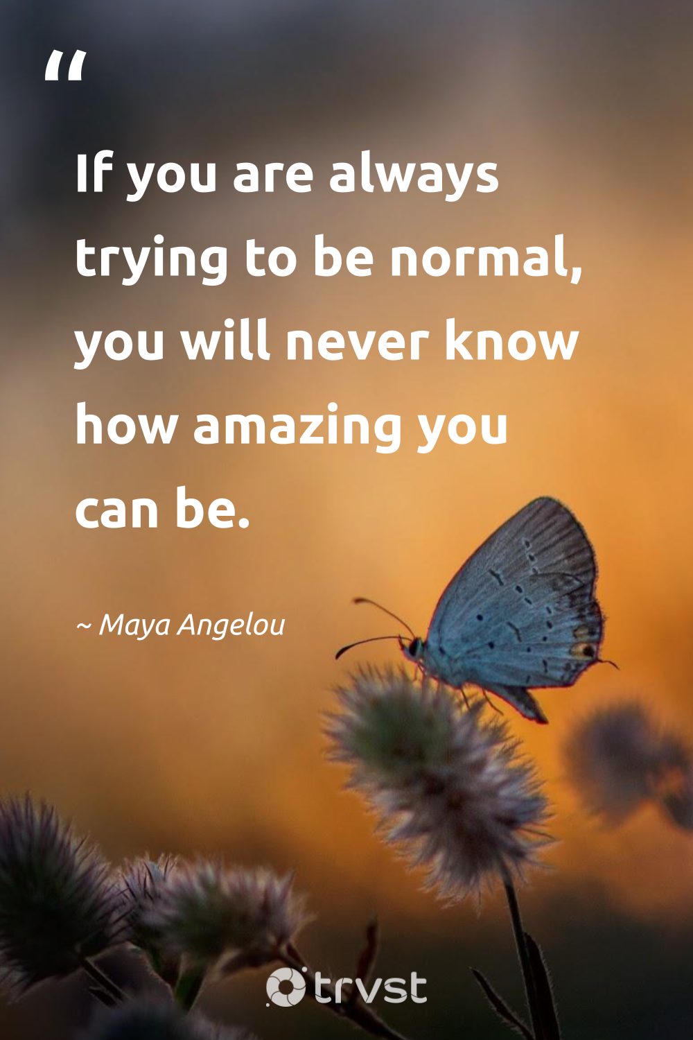 35 Being Different Quotes Embracing Uniqueness