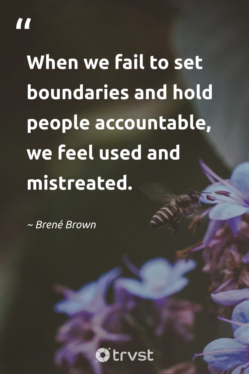 59 Boundaries Quotes About Saying No & Breaking Barriers (2025)