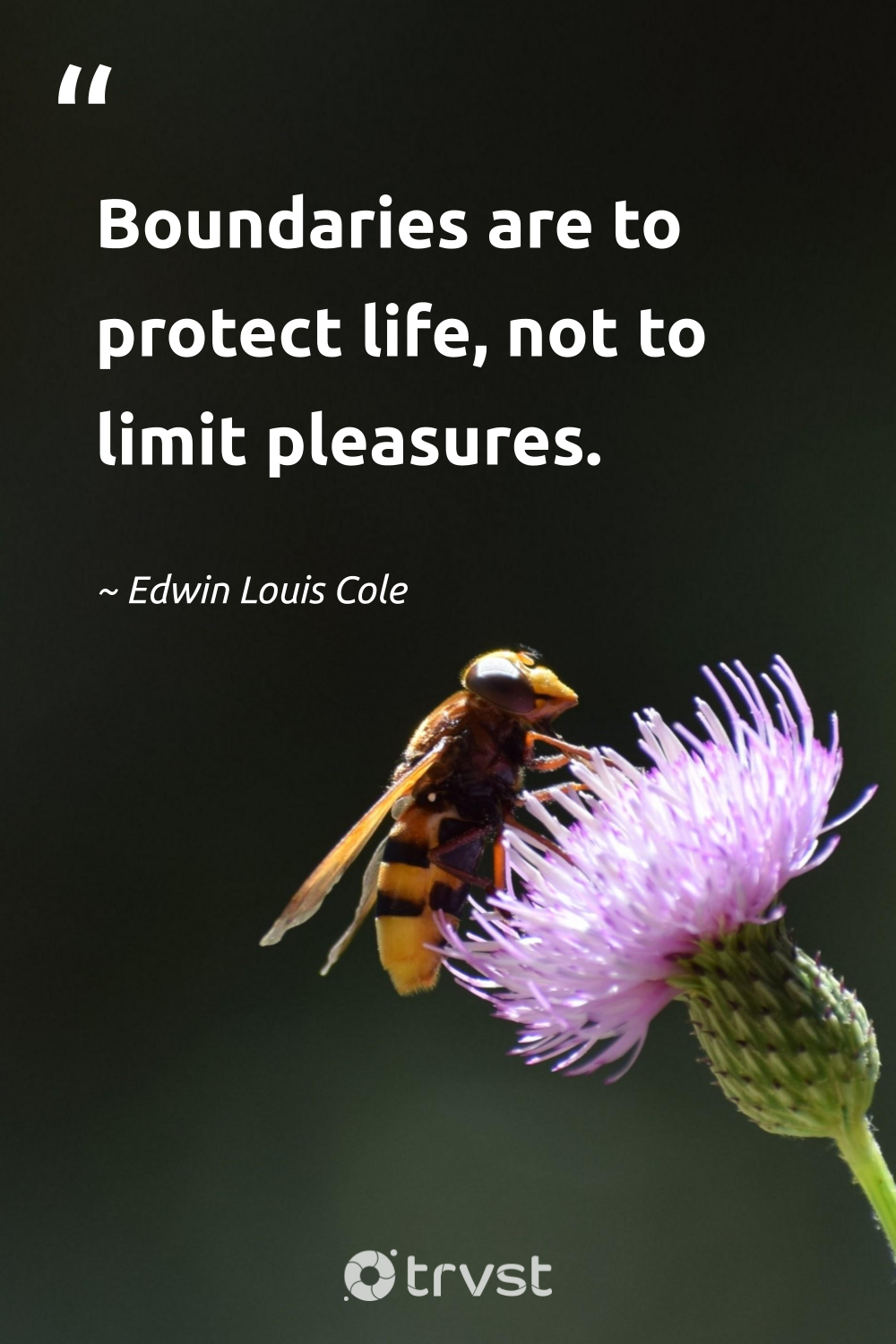 59 Boundaries Quotes About Saying No & Breaking Barriers (2025)