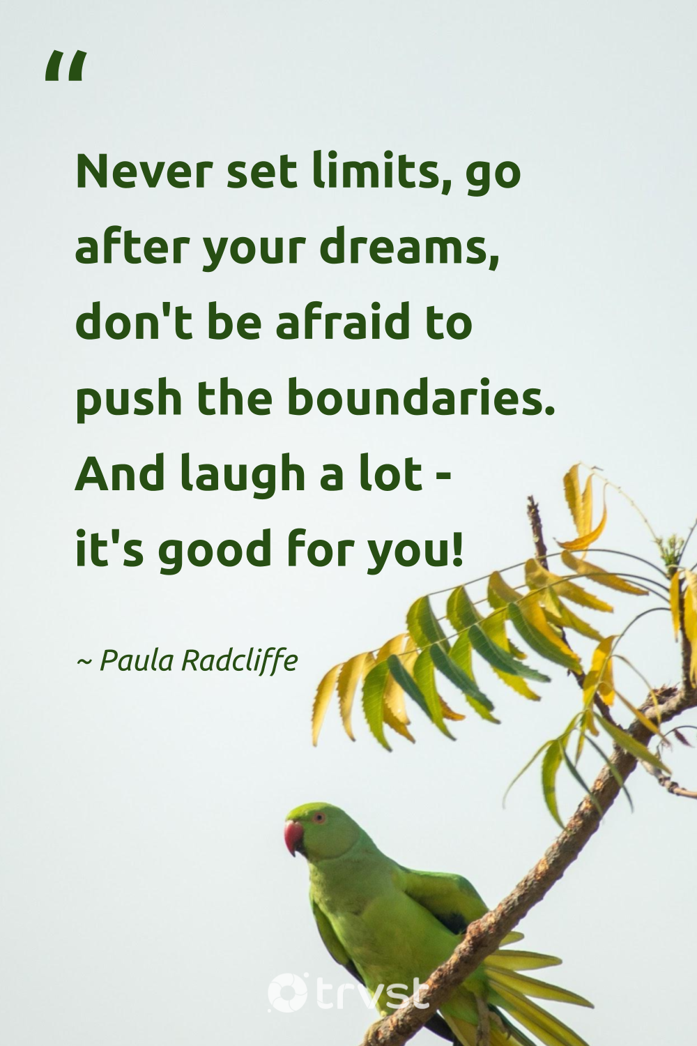 59 Boundaries Quotes About Saying No & Breaking Barriers (2024)