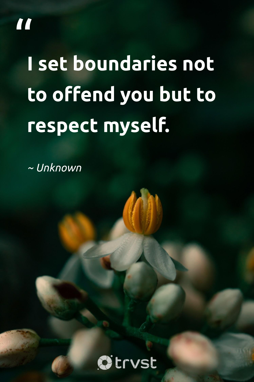 59 Boundaries Quotes About Saying No & Breaking Barriers (2024)