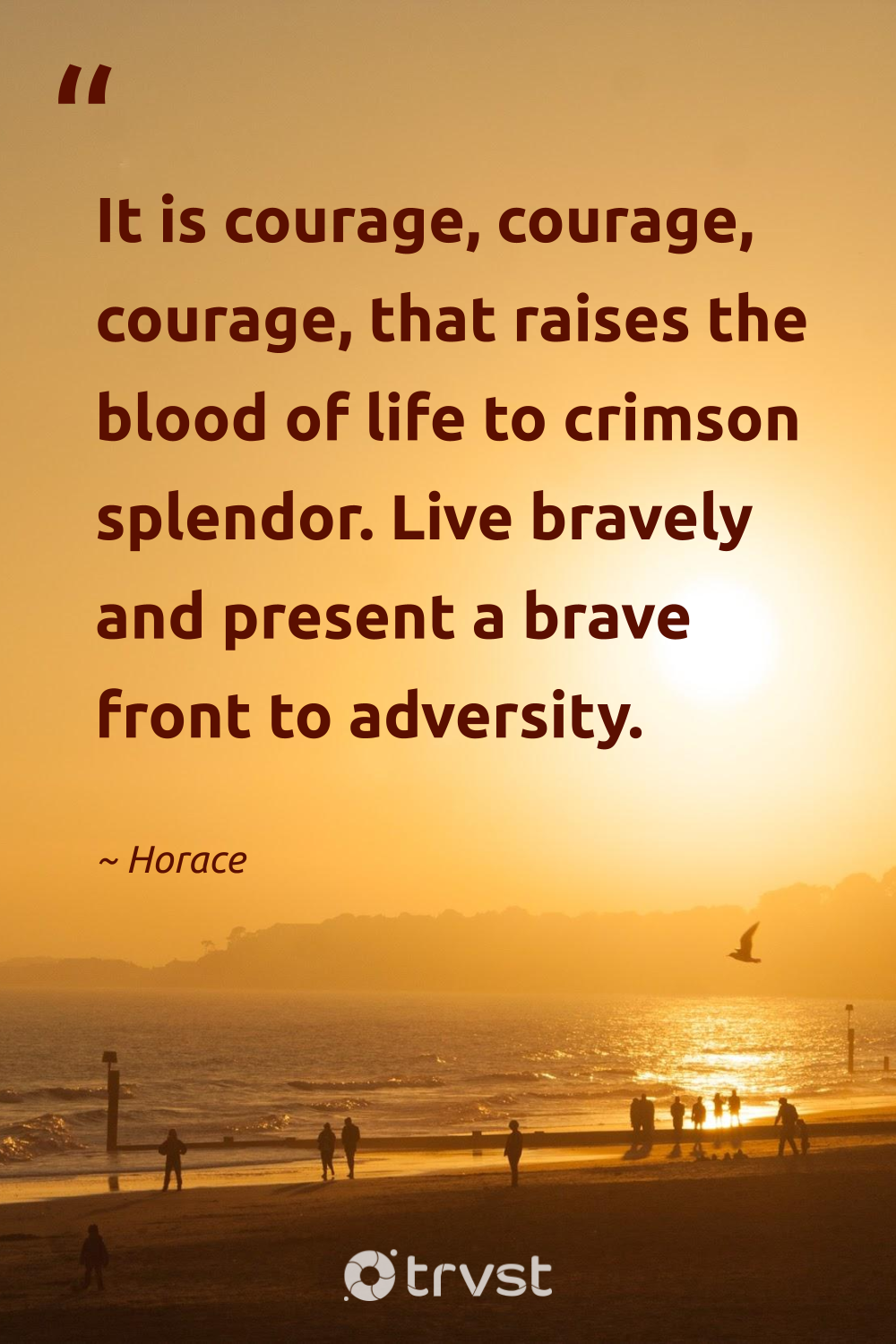 45 Brave Quotes To Endure All Trials