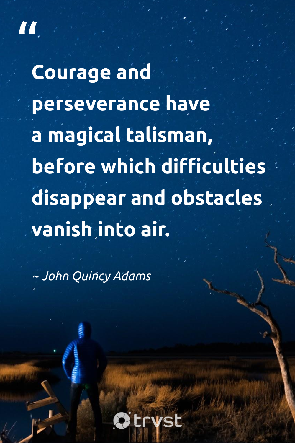 45 Brave Quotes To Endure All Trials