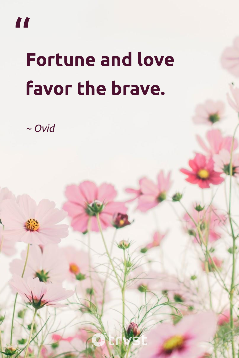 45 Brave Quotes To Endure All Trials