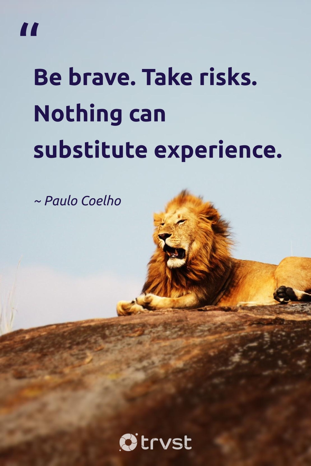 45 Brave Quotes To Endure All Trials