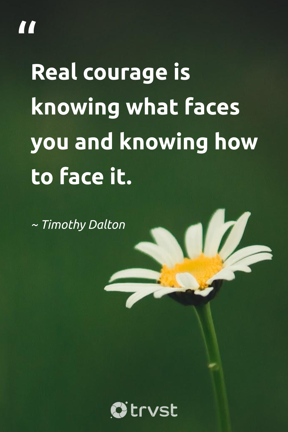 45 Brave Quotes To Endure All Trials