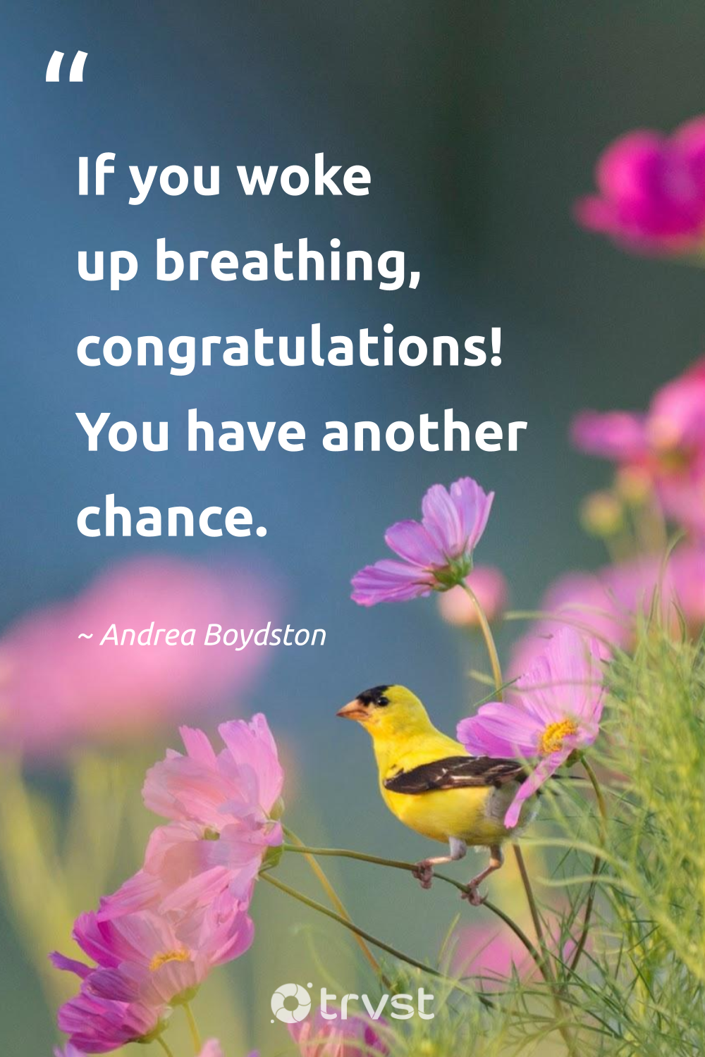 50 Breathe Quotes To Unwind And Calm Down