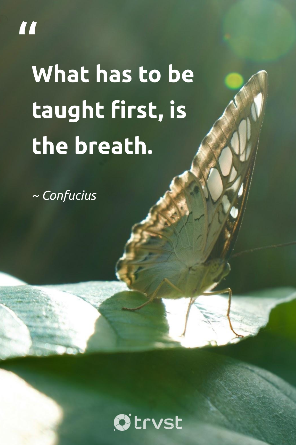 50 Breathe Quotes To Unwind And Calm Down