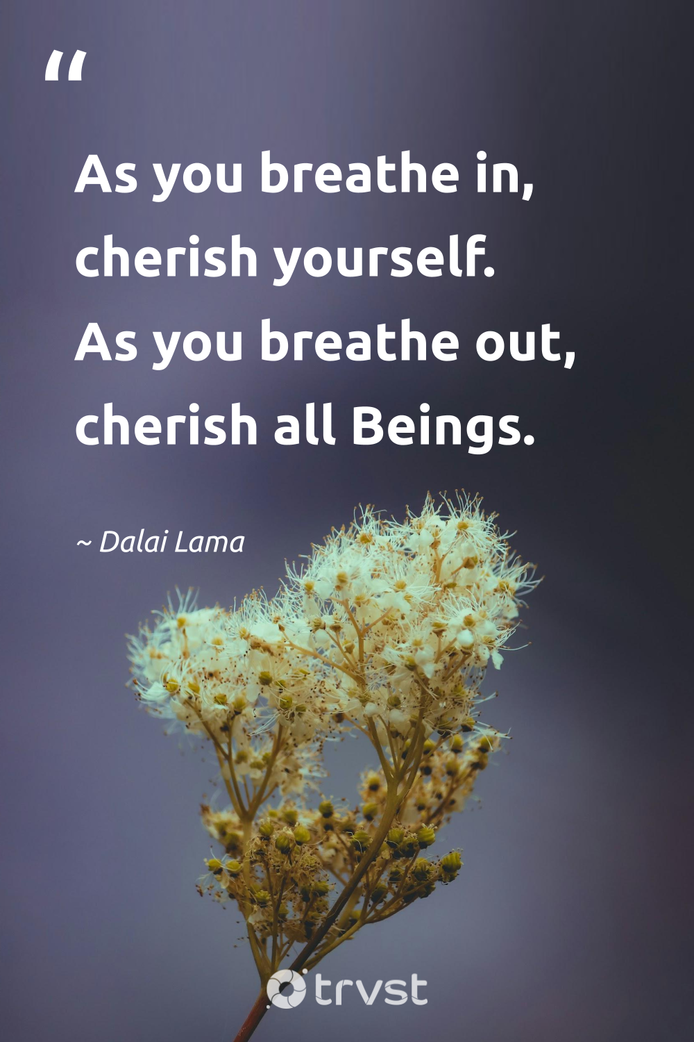 50 Breathe Quotes To Unwind And Calm Down