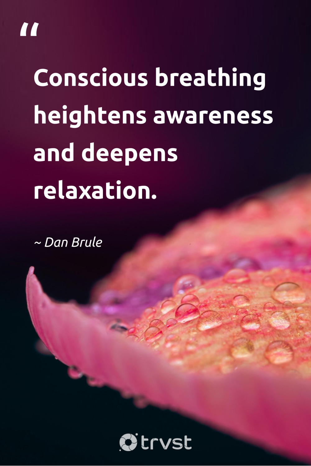 50 Breathe Quotes To Unwind And Calm Down