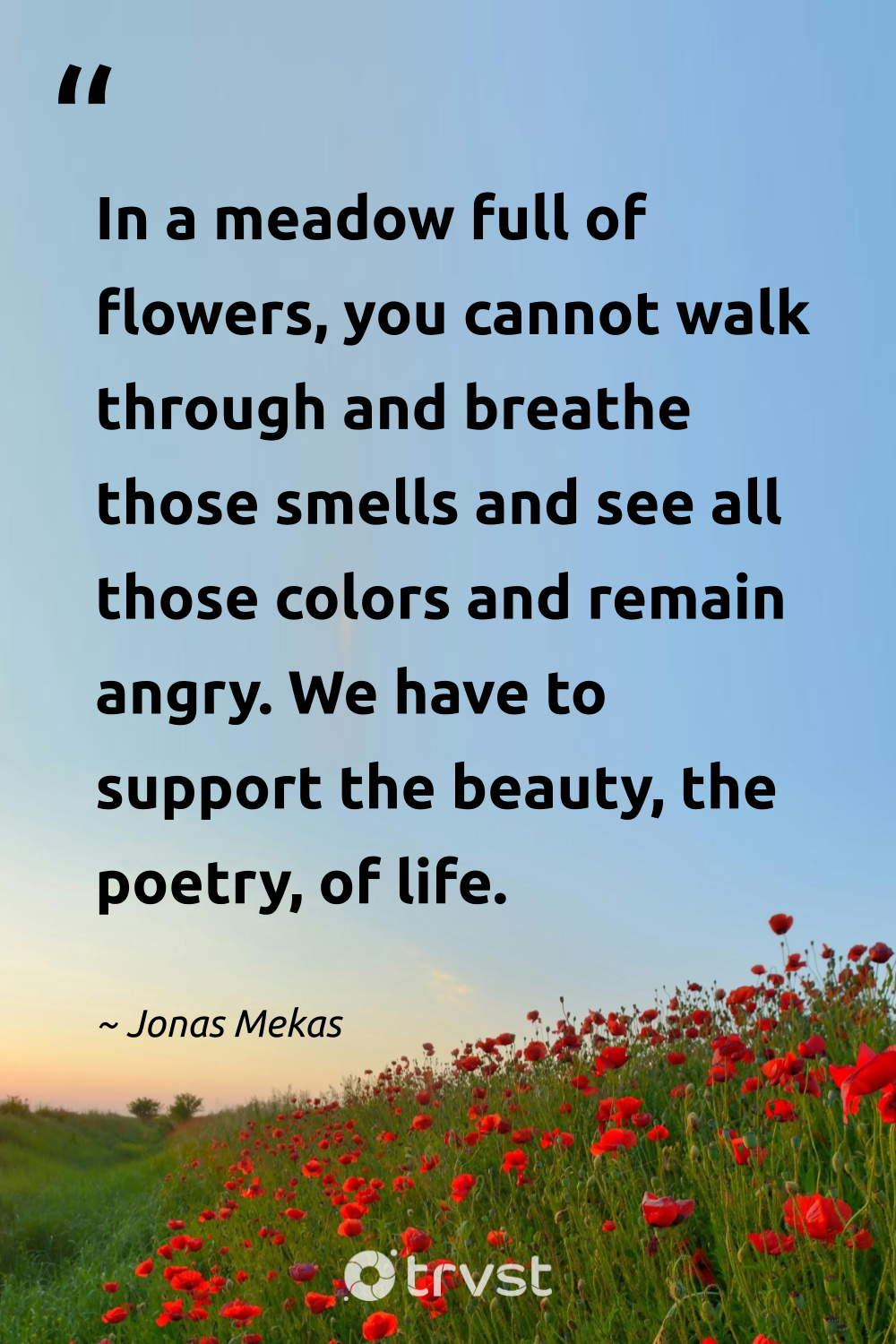 50 Breathe Quotes To Unwind And Calm Down