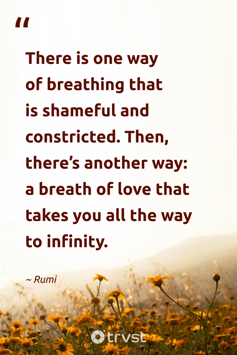 50 Breathe Quotes To Unwind And Calm Down