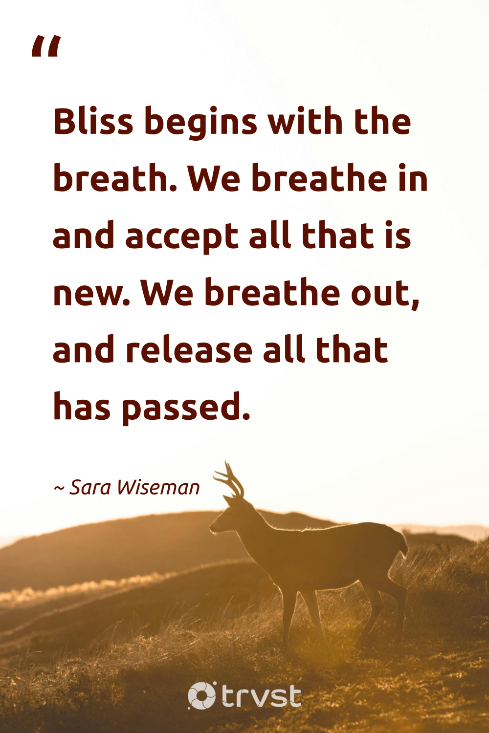 50 Breathe Quotes To Unwind And Calm Down