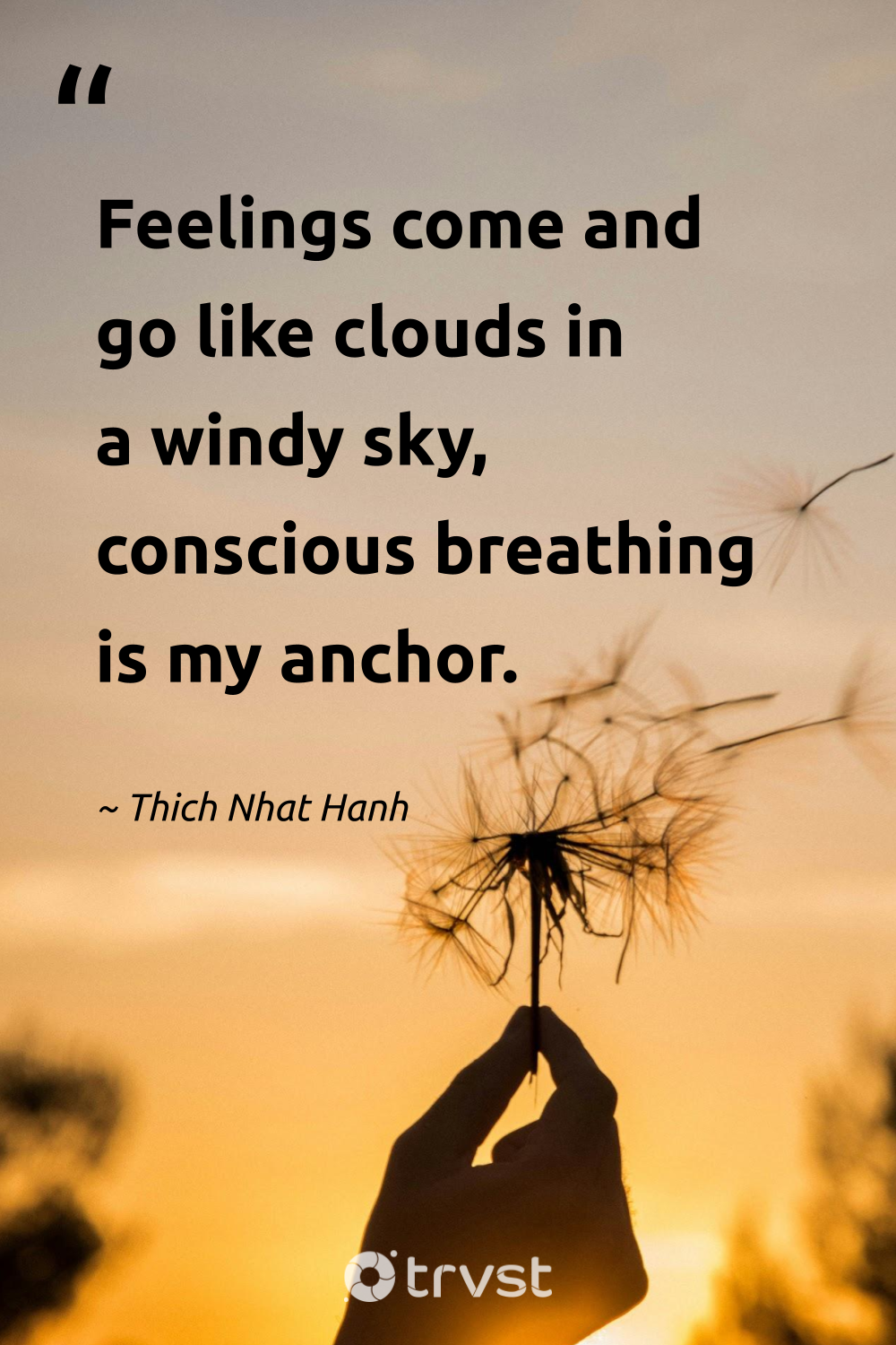 50 Breathe Quotes To Unwind And Calm Down