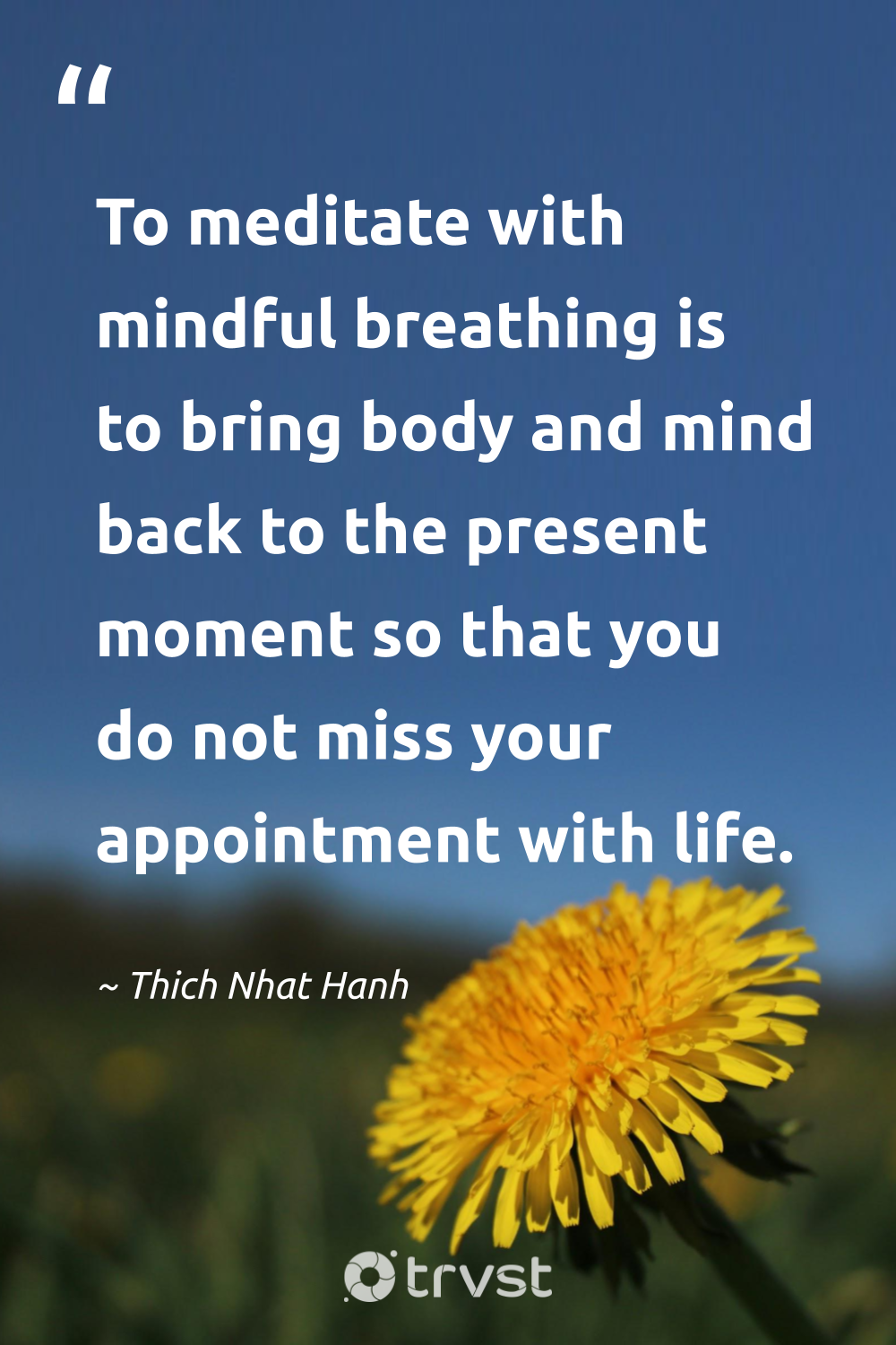 50 Breathe Quotes To Unwind And Calm Down