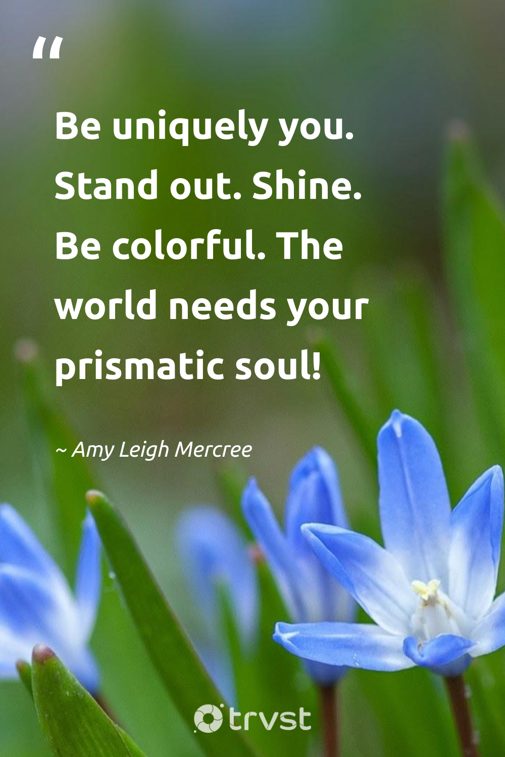 25 Bright Color Quotes Conveying A Spectrum Of Positivity
