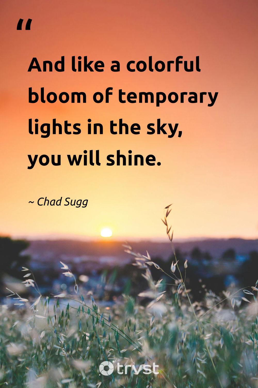 25 Bright Color Quotes Conveying A Spectrum Of Positivity