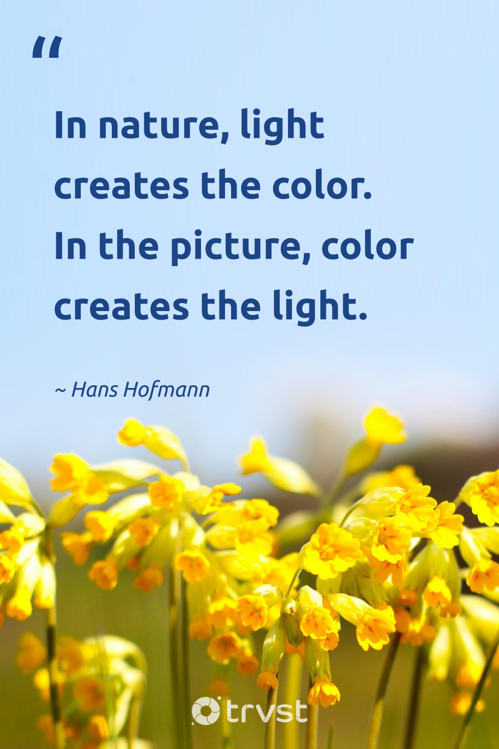 25 Bright Color Quotes Conveying A Spectrum Of Positivity