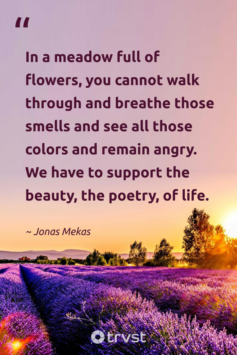 25 Bright Color Quotes Conveying A Spectrum Of Positivity