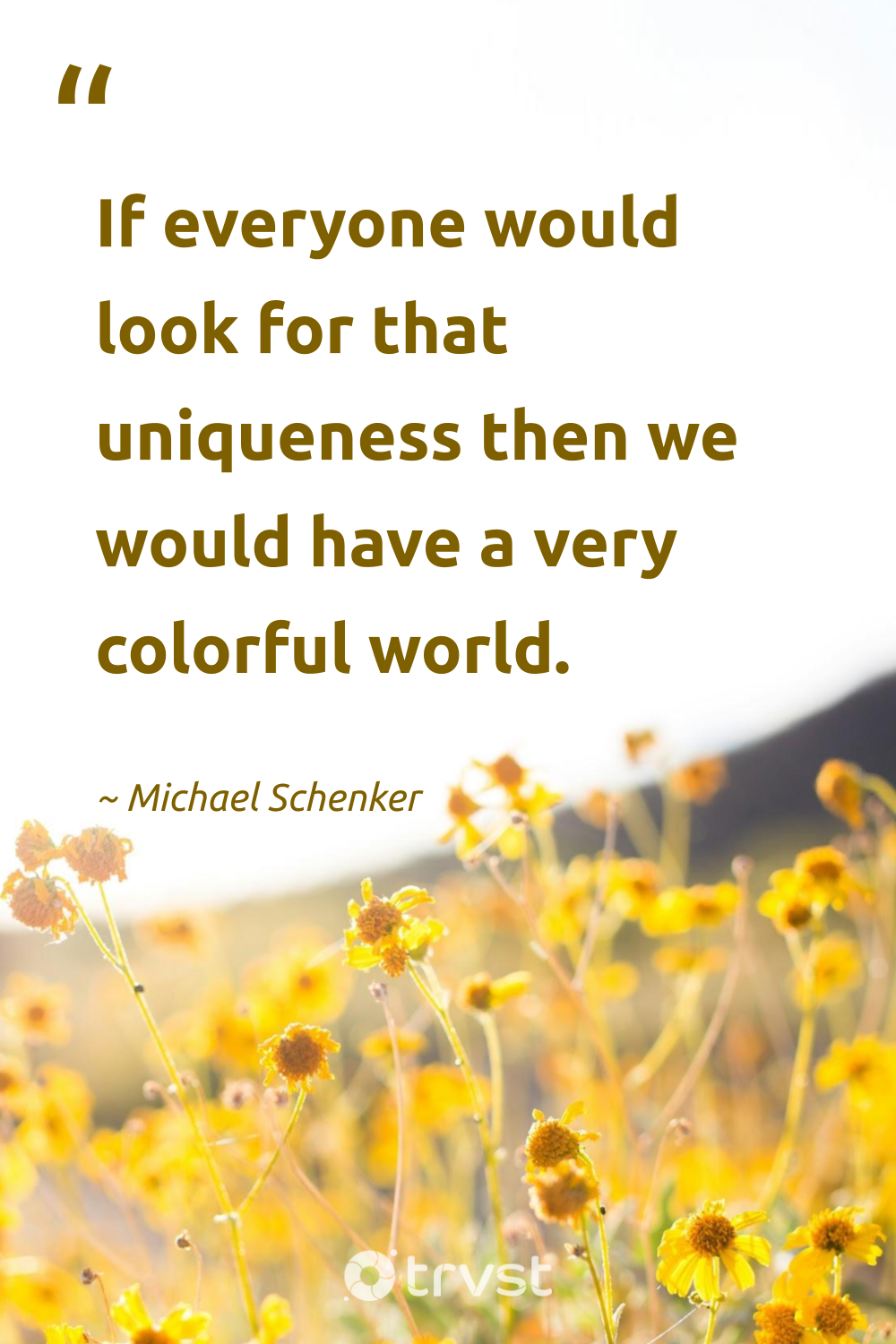 25 Bright Color Quotes Conveying A Spectrum Of Positivity