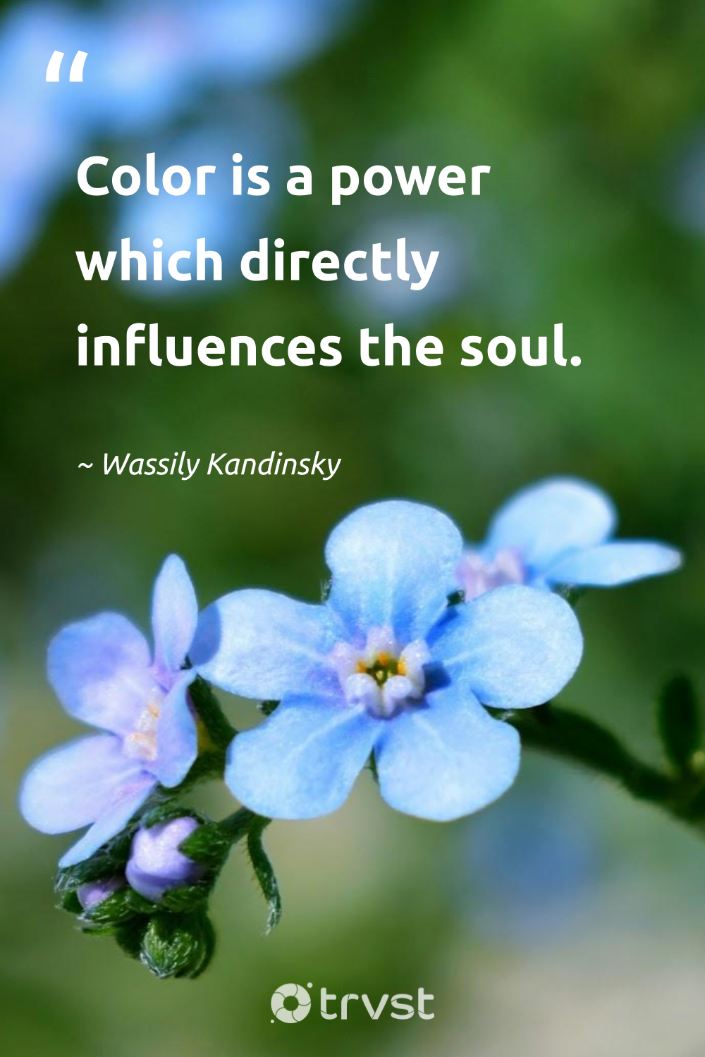 25 Bright Color Quotes Conveying A Spectrum Of Positivity