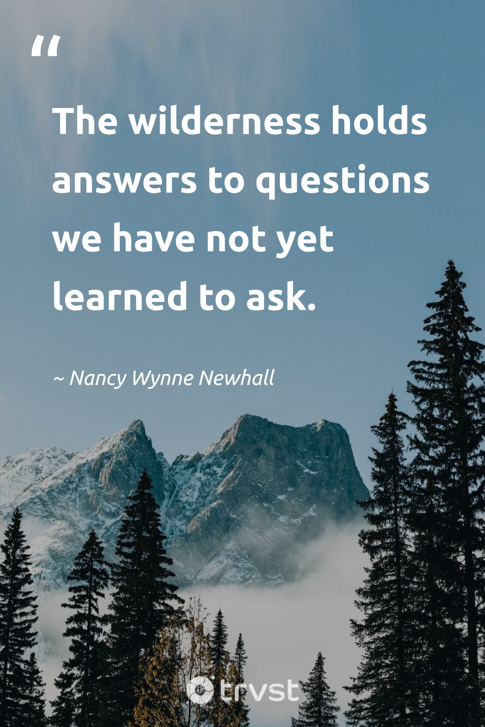 40 Camping Quotes and Sayings to Enjoy the Great Outdoors