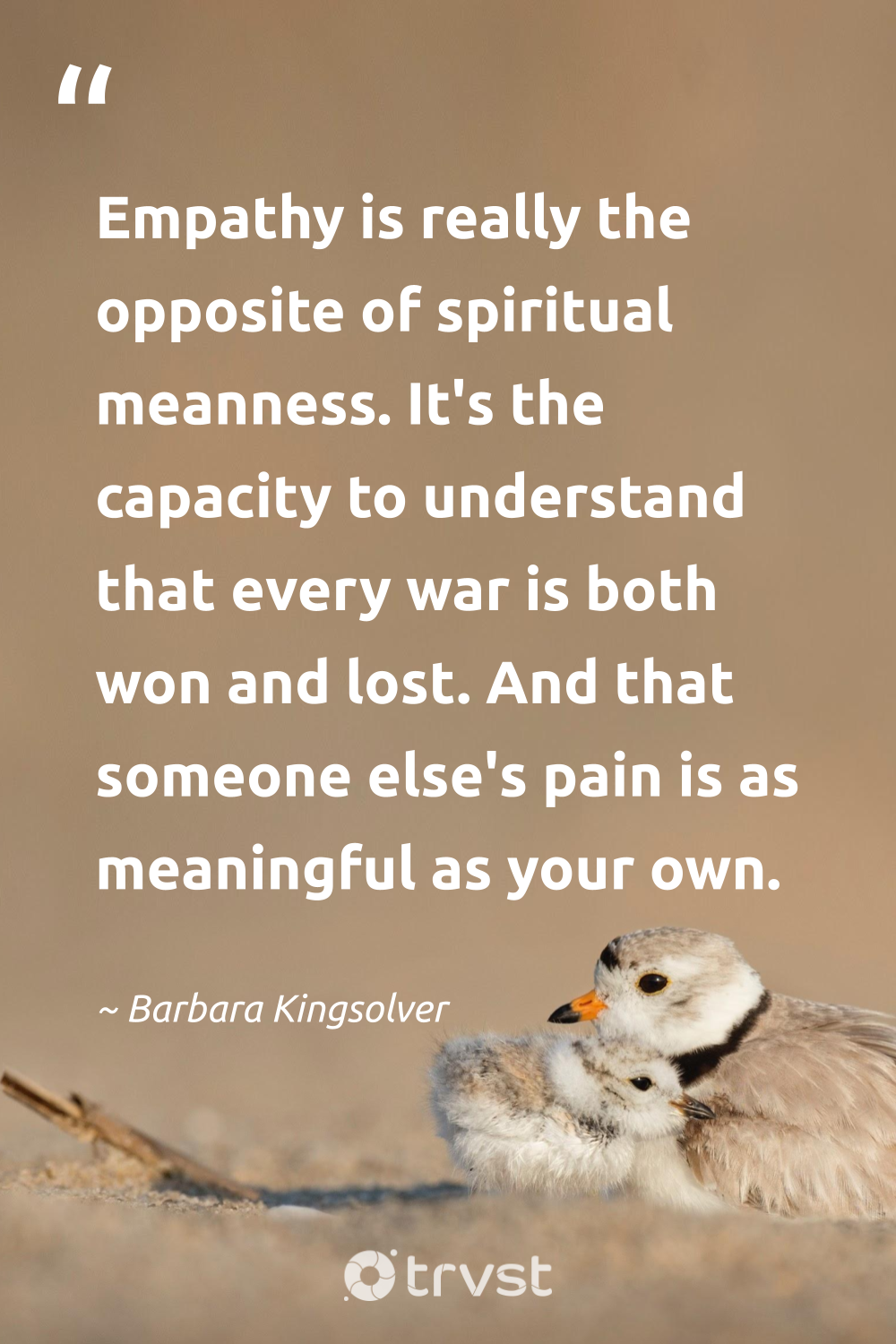 63 Compassion Quotes Encouraging Empathy & Kindness (2025)