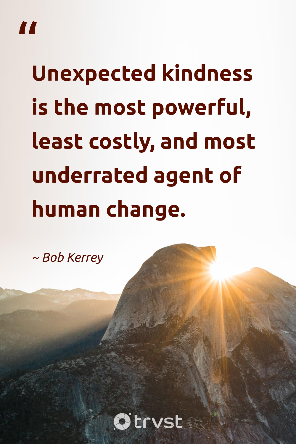 63 Compassion Quotes Encouraging Empathy & Kindness (2024)