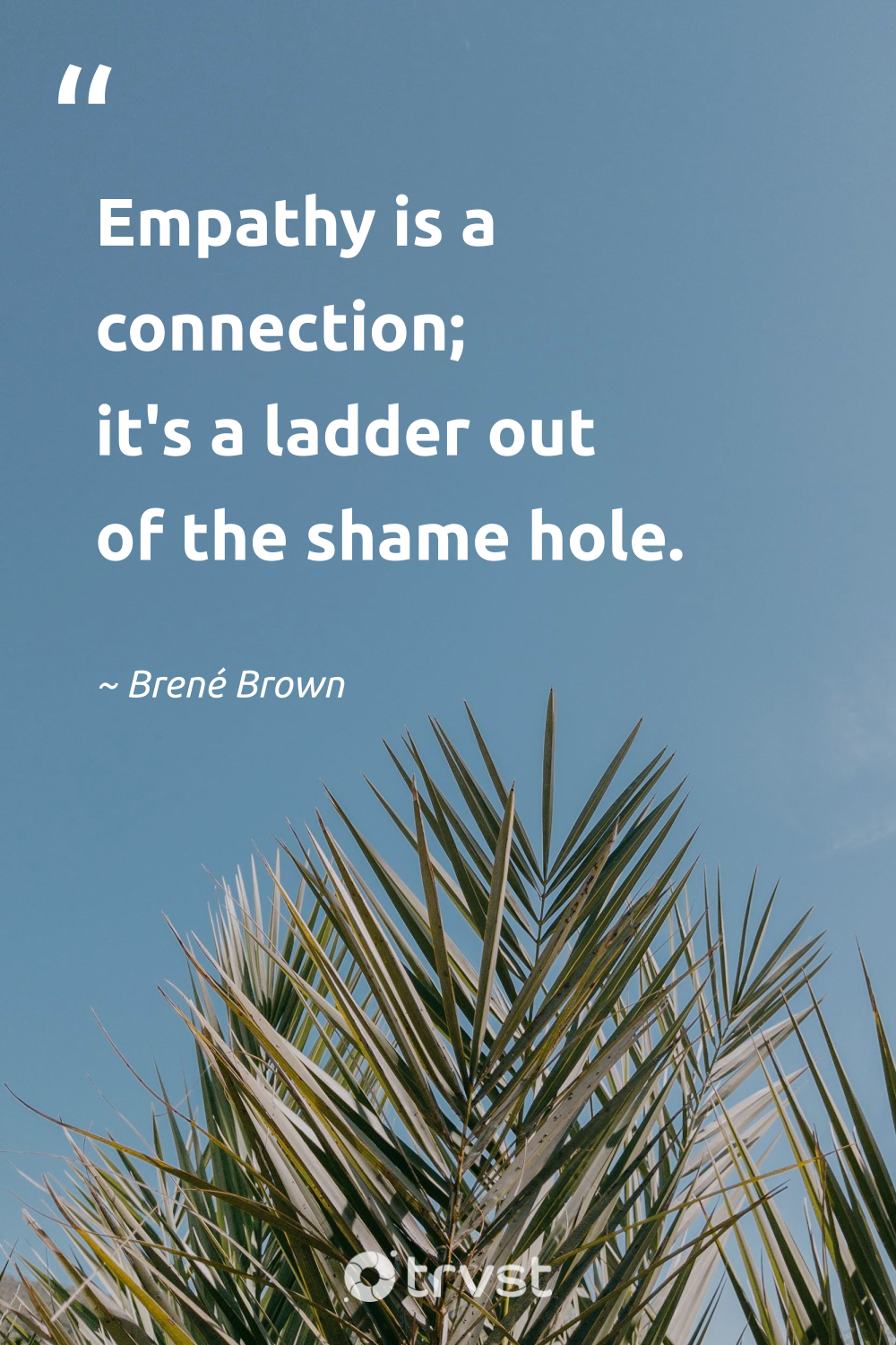 63 Compassion Quotes Encouraging Empathy & Kindness (2025)