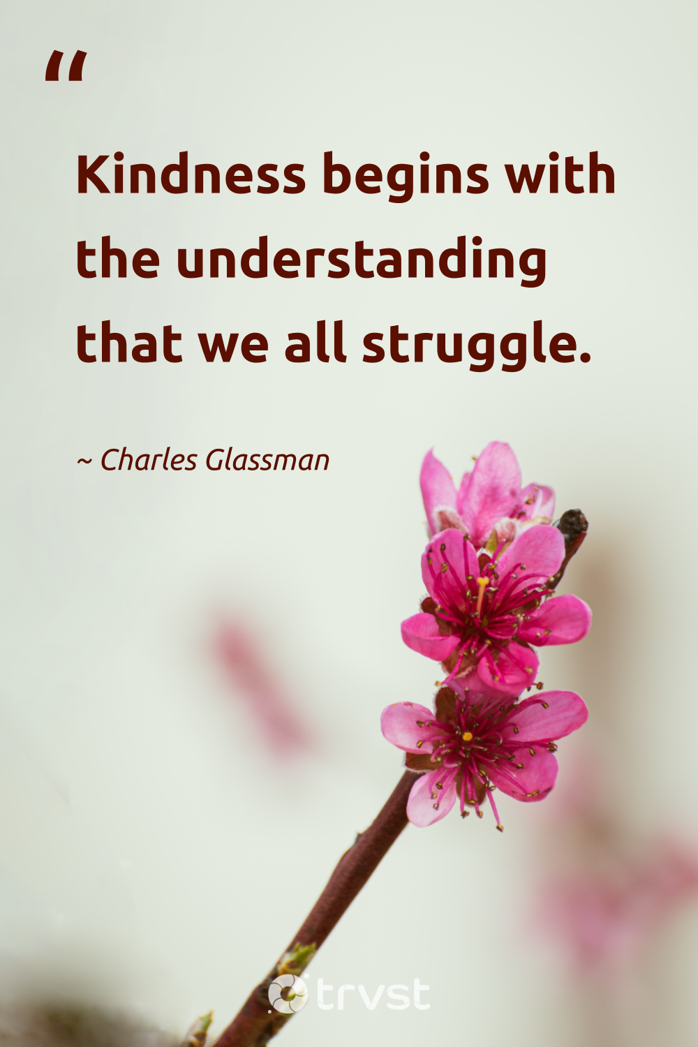63 Compassion Quotes Encouraging Empathy & Kindness (2025)