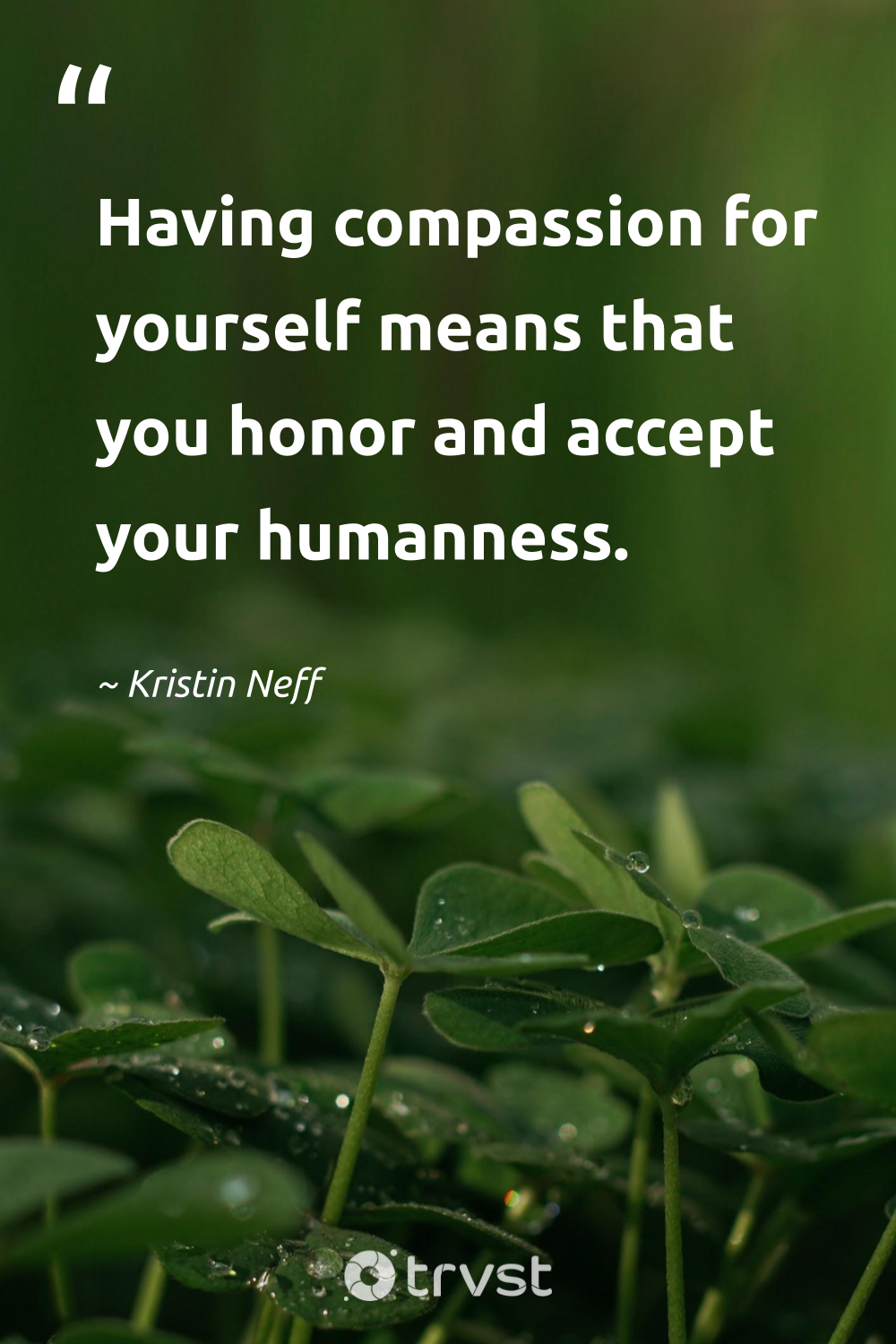 63 Compassion Quotes Encouraging Empathy & Kindness (2025)