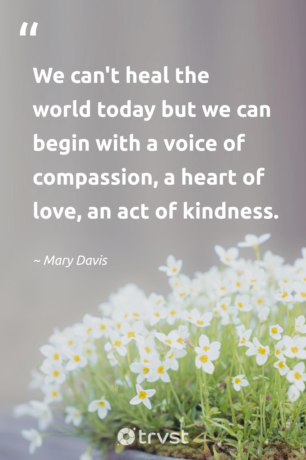 63 Compassion Quotes Encouraging Empathy & Kindness (2024)