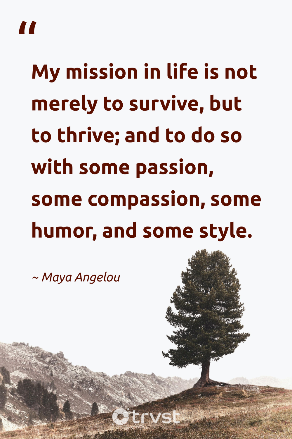 63 Compassion Quotes Encouraging Empathy & Kindness (2024)