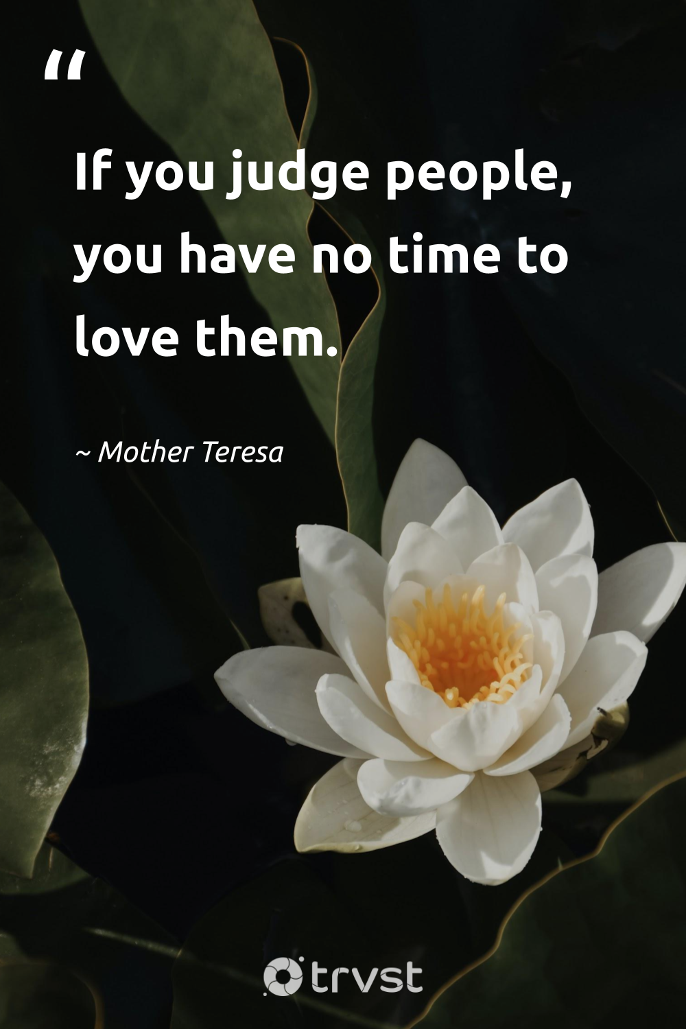 63 Compassion Quotes Encouraging Empathy & Kindness (2024)