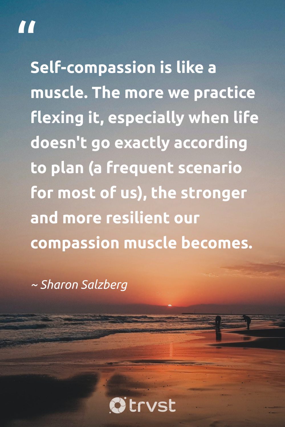 63 Compassion Quotes Encouraging Empathy & Kindness (2025)