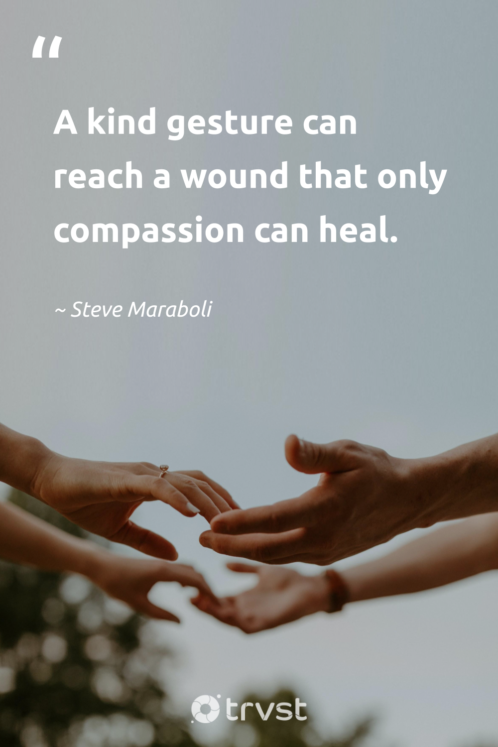 63 Compassion Quotes Encouraging Empathy & Kindness (2025)