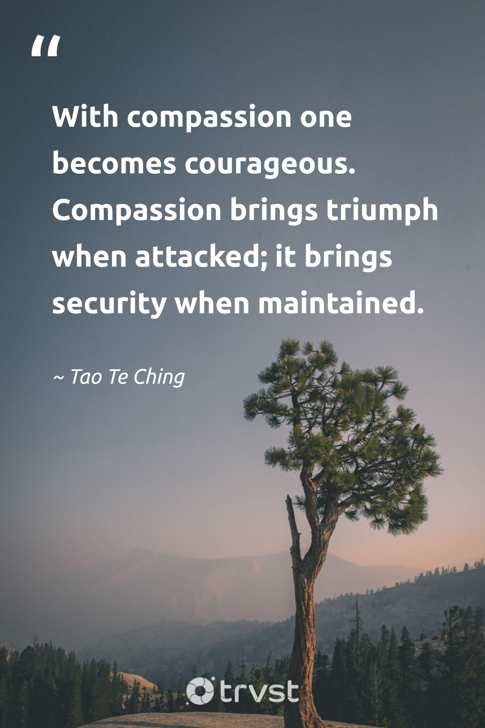 63 Compassion Quotes Encouraging Empathy & Kindness (2025)