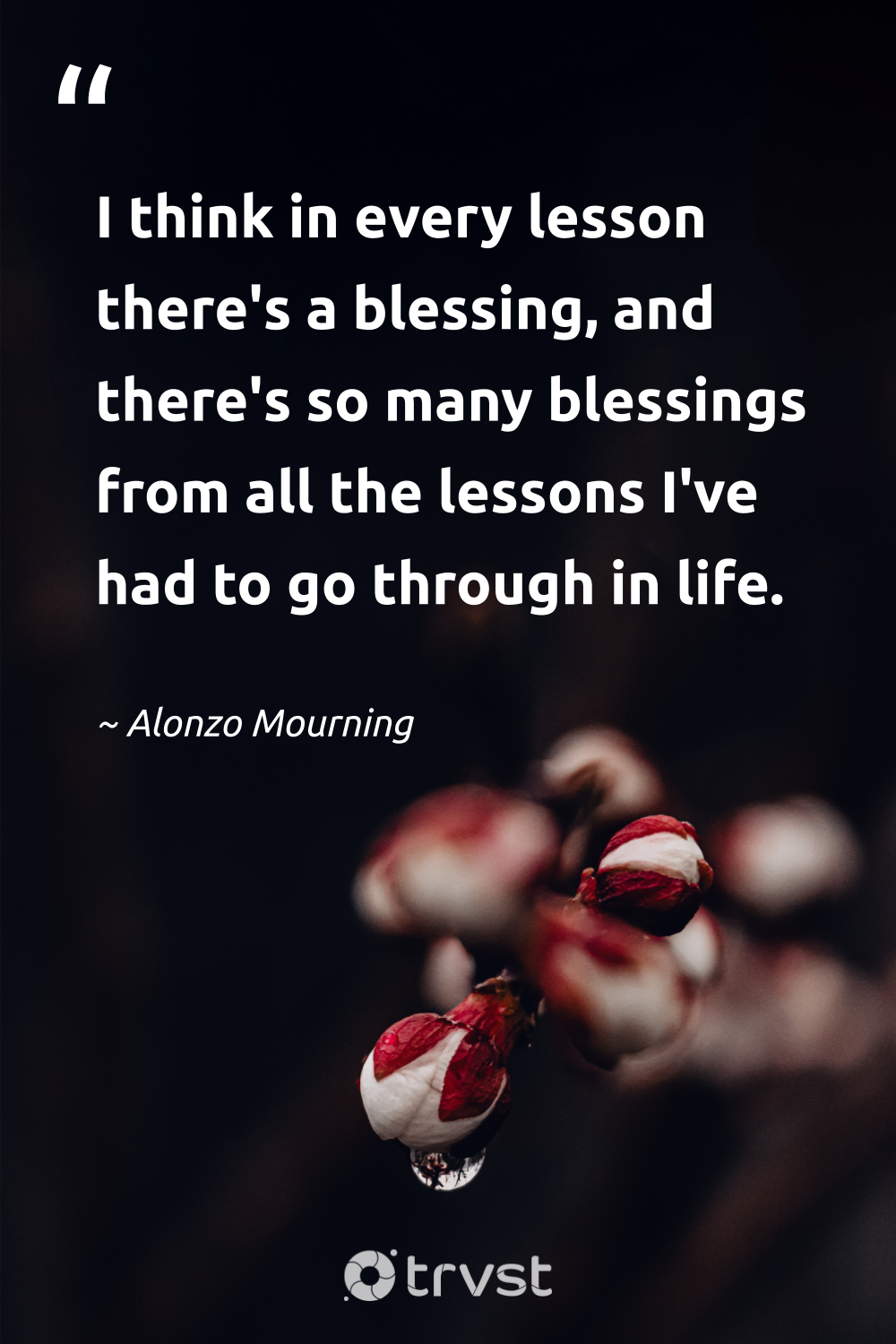 50 Count Your Blessings Quotes to Find Joy in Everything (2025)