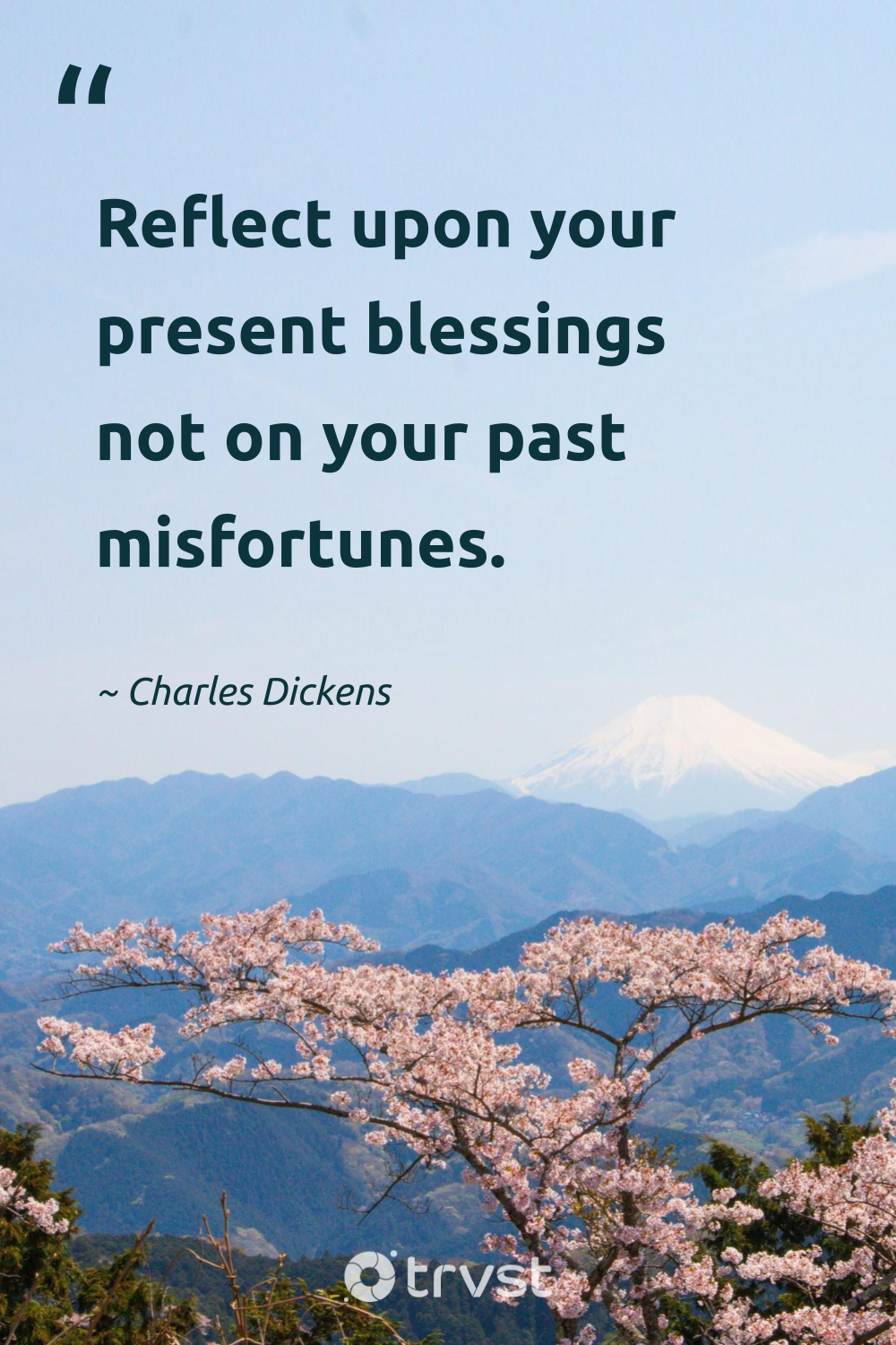 50 Count Your Blessings Quotes to Find Joy in Everything (2025)