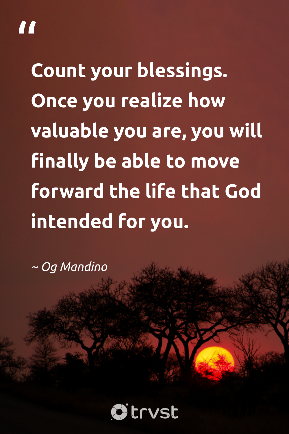 50 Count Your Blessings Quotes to Find Joy in Everything (2025)