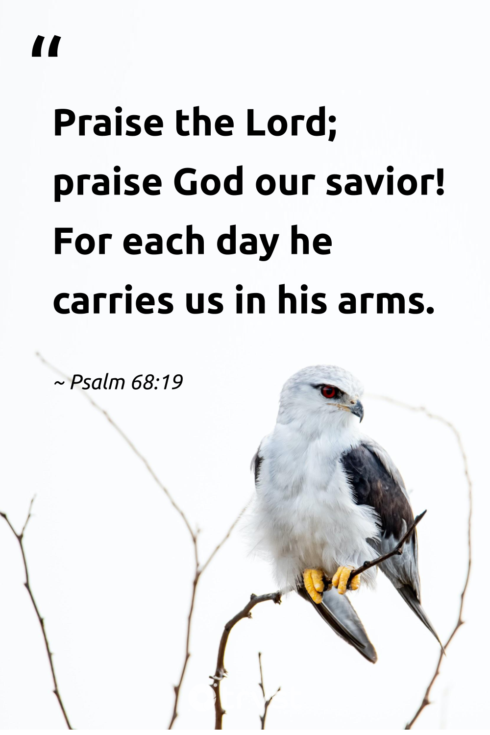 50 Count Your Blessings Quotes to Find Joy in Everything (2024)