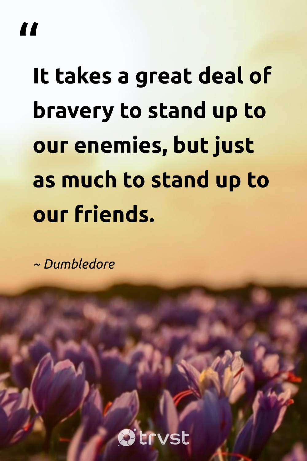 50 Courage Quotes To Empower You Daily