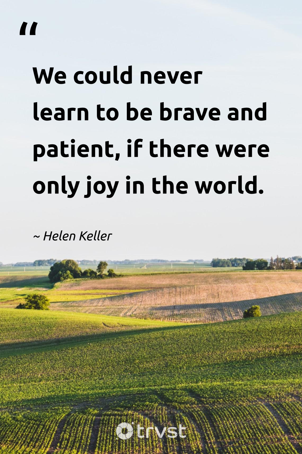 50 Courage Quotes To Empower You Daily