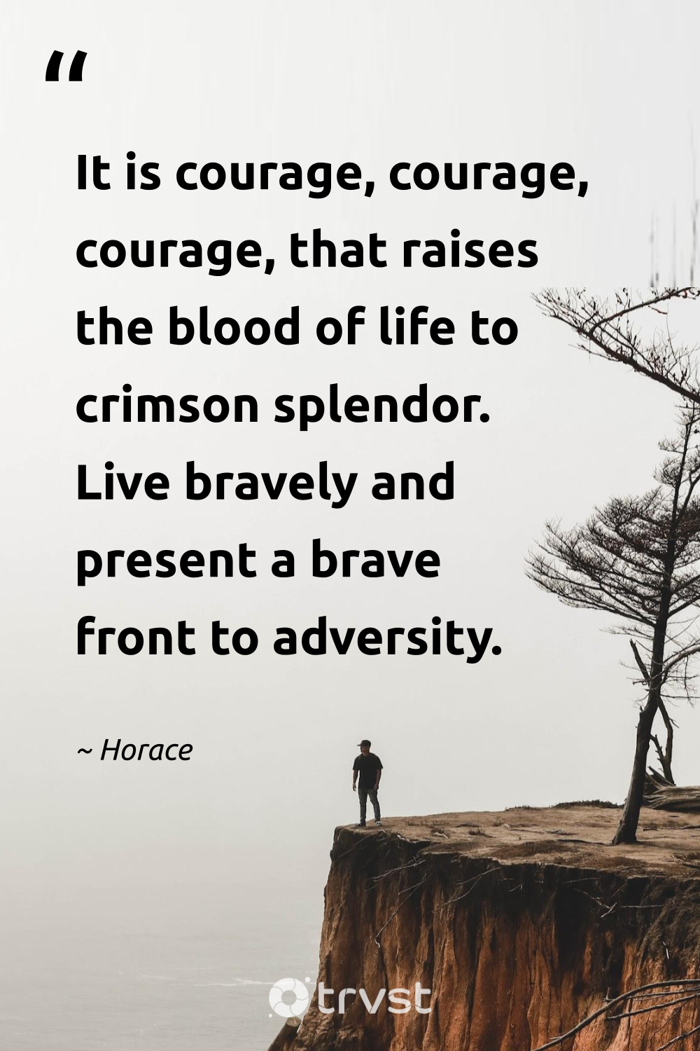 50 Courage Quotes To Empower You Daily