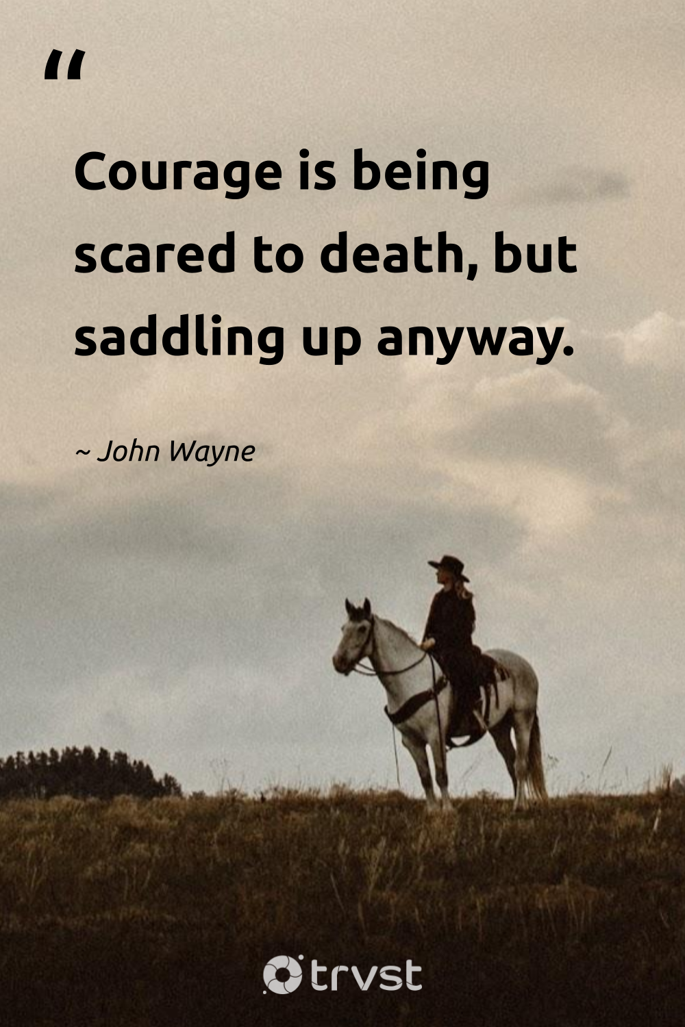 50 Courage Quotes To Empower You Daily