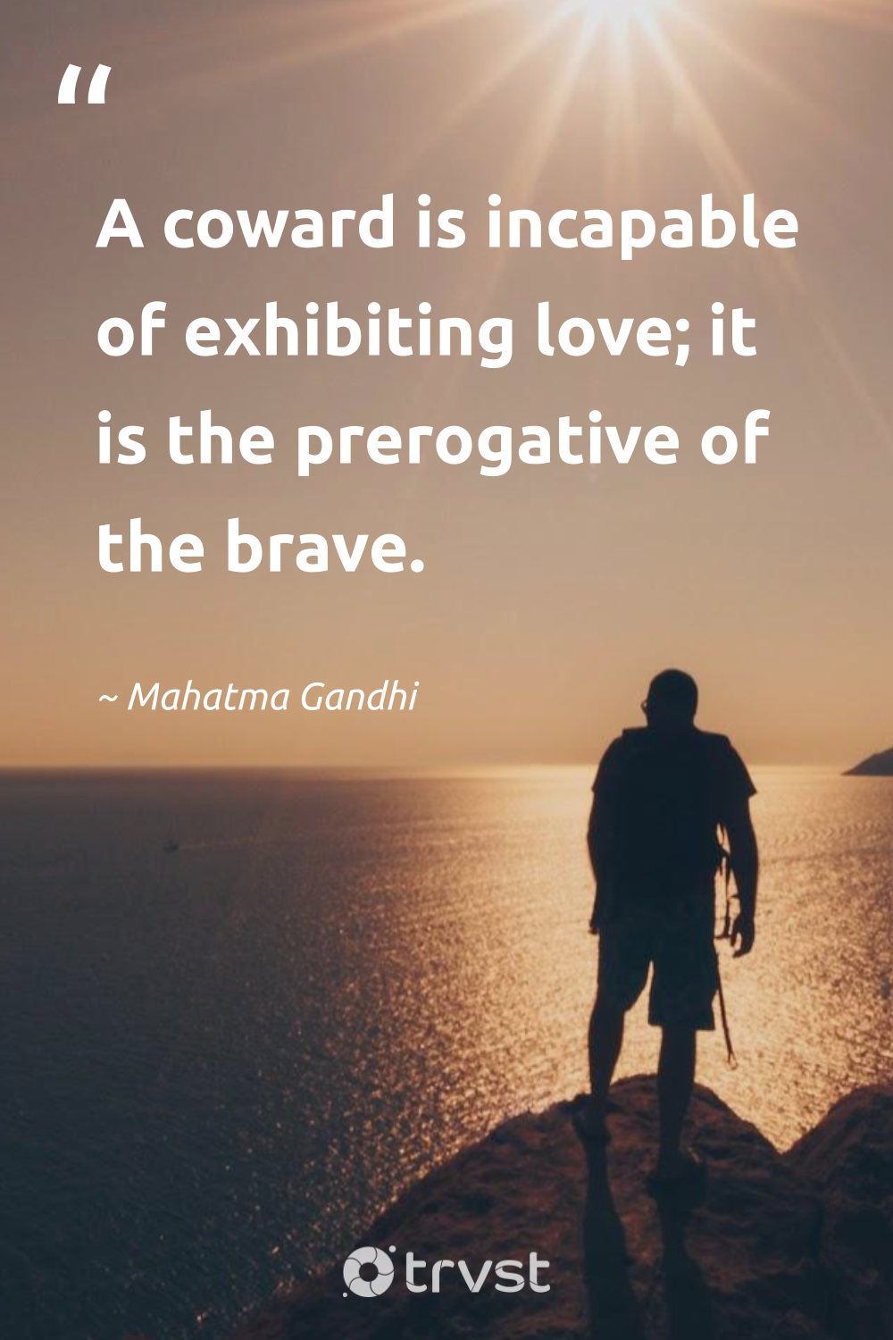 50 Courage Quotes To Empower You Daily